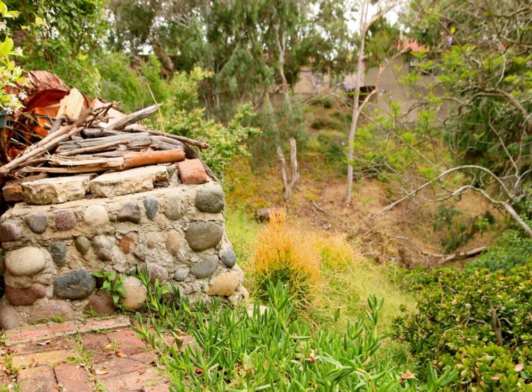 Influencer: Kate Sessions | Hidden San Diego