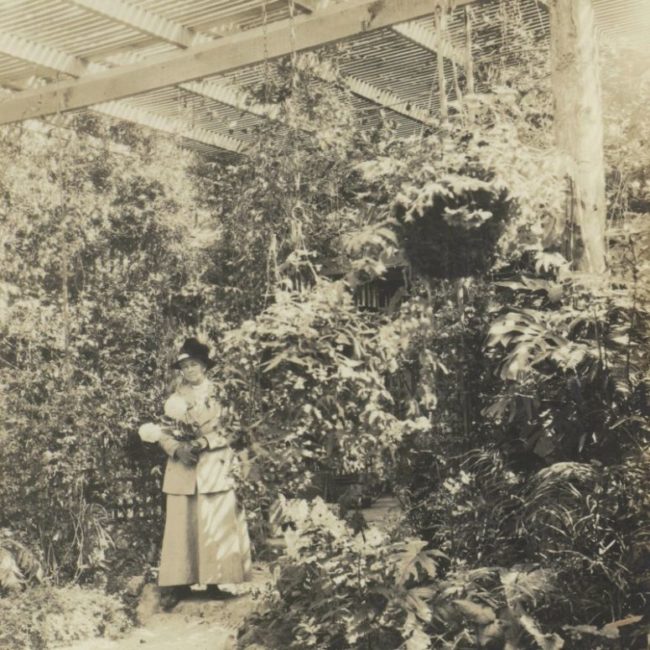 Influencer: Kate Sessions | Hidden San Diego