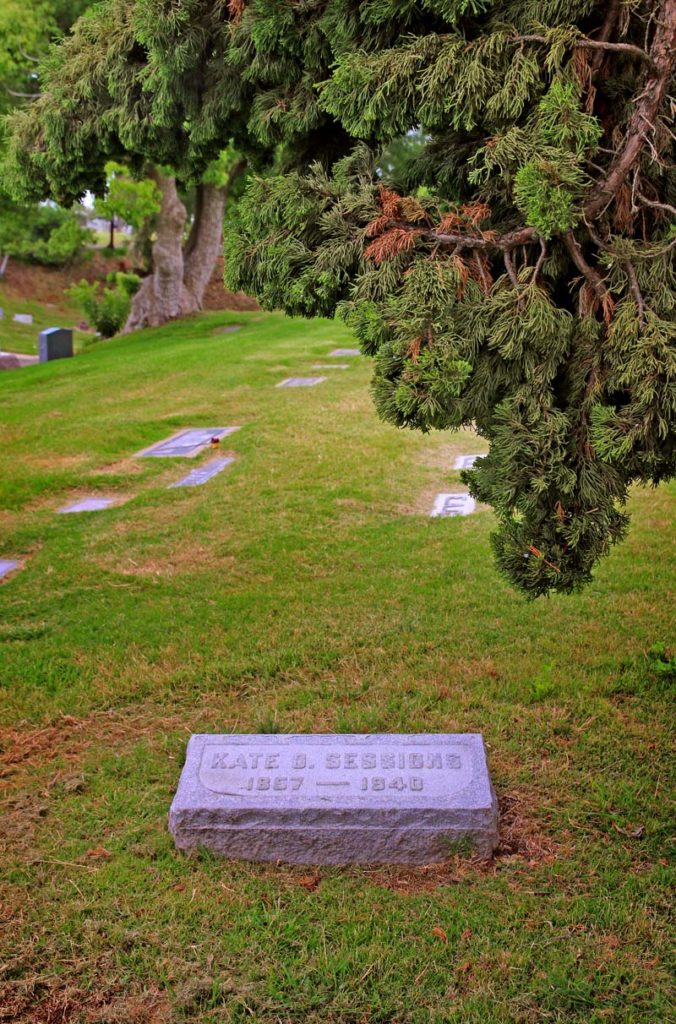 Influencer: Kate Sessions | Hidden San Diego