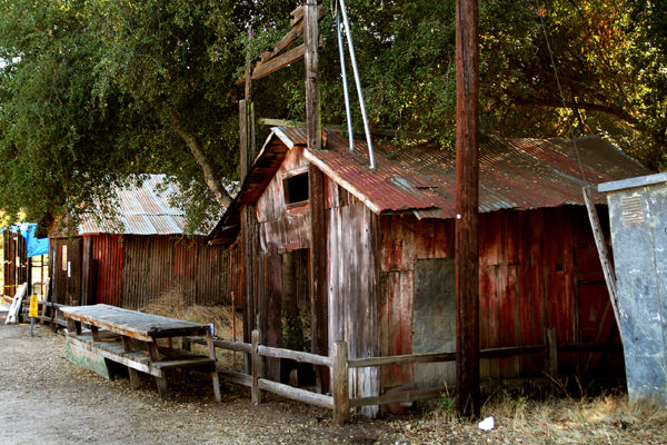 Daley Ranch | Hidden San Diego