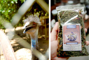 Bates Nut Farm | Hidden San Diego