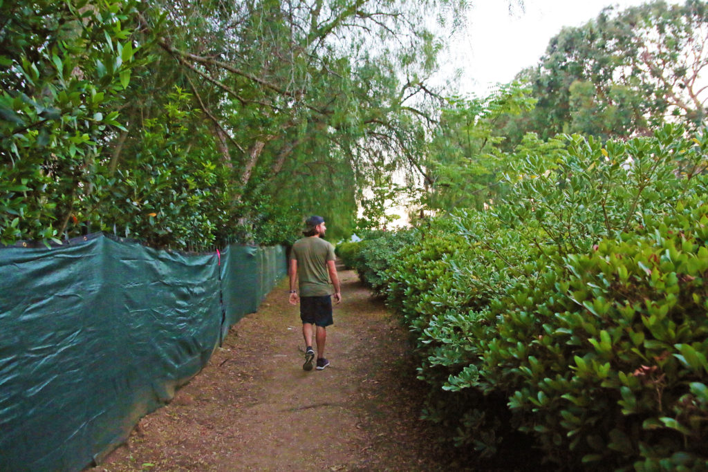 Poway Horse Trails | Hidden San Diego