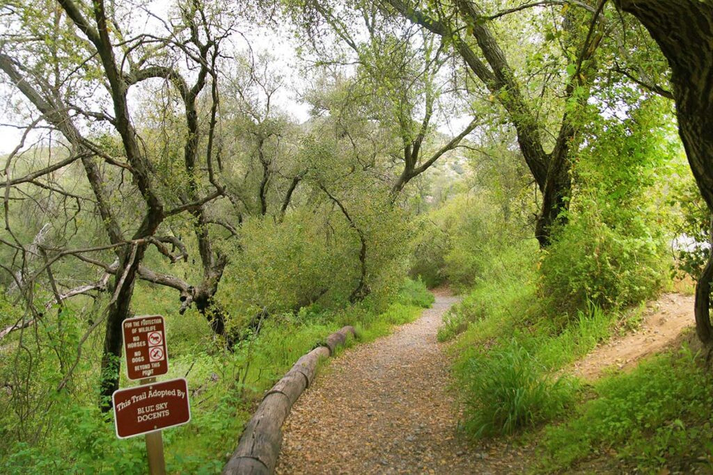 Lake Ramona | Hidden San Diego