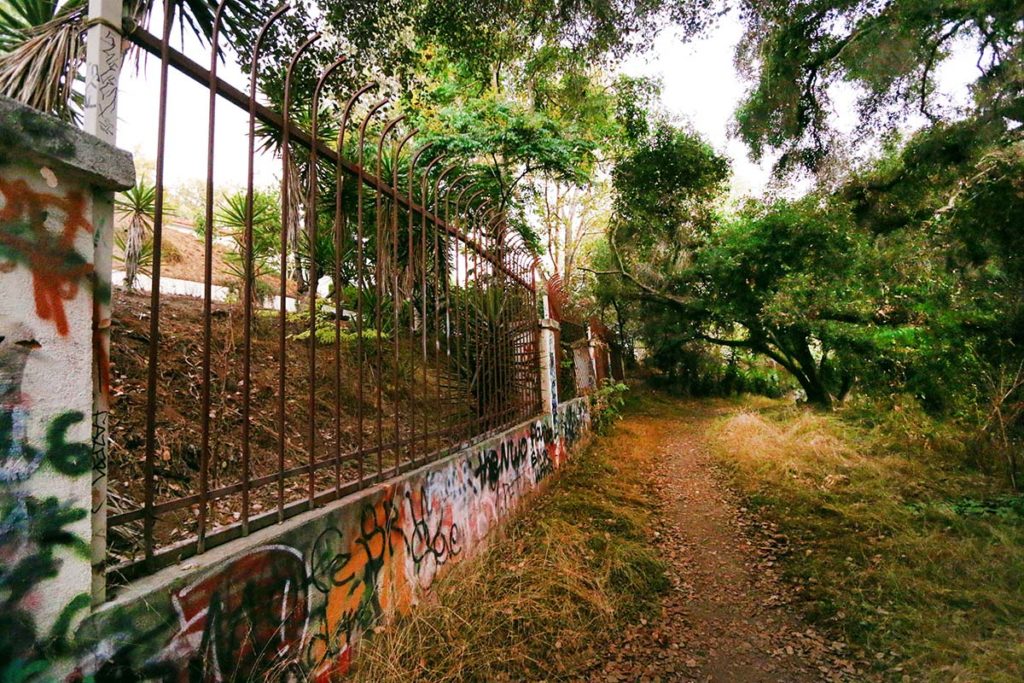 Kit Carson Park Hiking Trail | Hidden San Diego