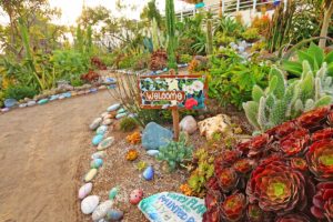 Dave's Rock Garden | Hidden San Diego
