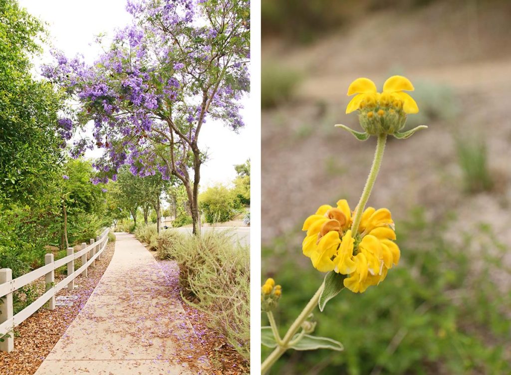 Briercrest Park | Hidden San Diego