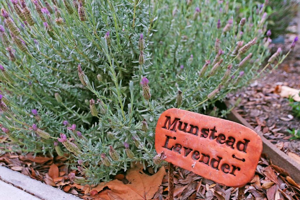 Briercrest Park | Hidden San Diego