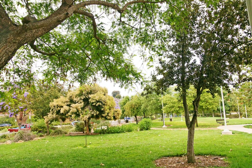 Briercrest Park | Hidden San Diego