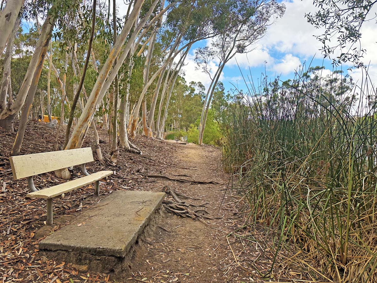 Hendrix Pond | Hidden San Diego