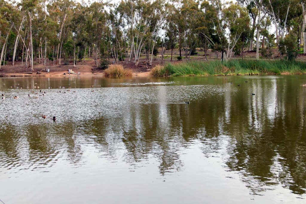Hendrix Pond | Hidden San Diego