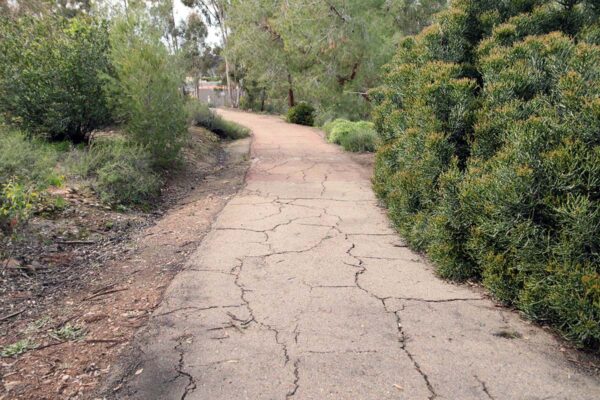 Hendrix Pond | Hidden San Diego