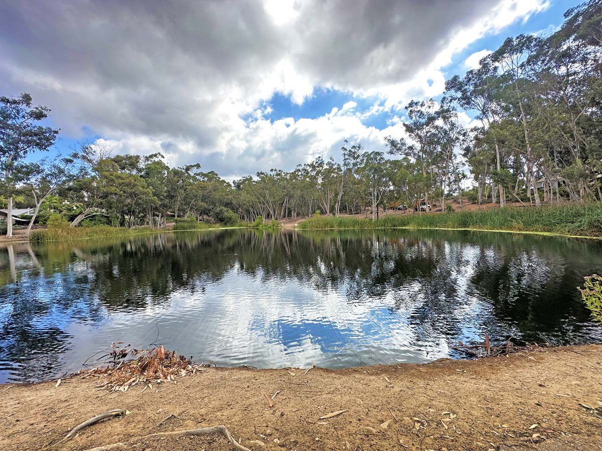 Hendrix Pond | Hidden San Diego