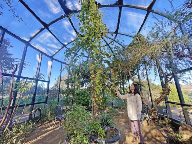 Water Conservation Garden | Hidden San Diego