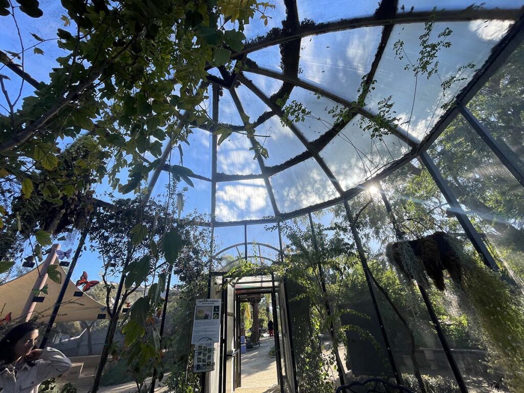 Water Conservation Garden | Hidden San Diego