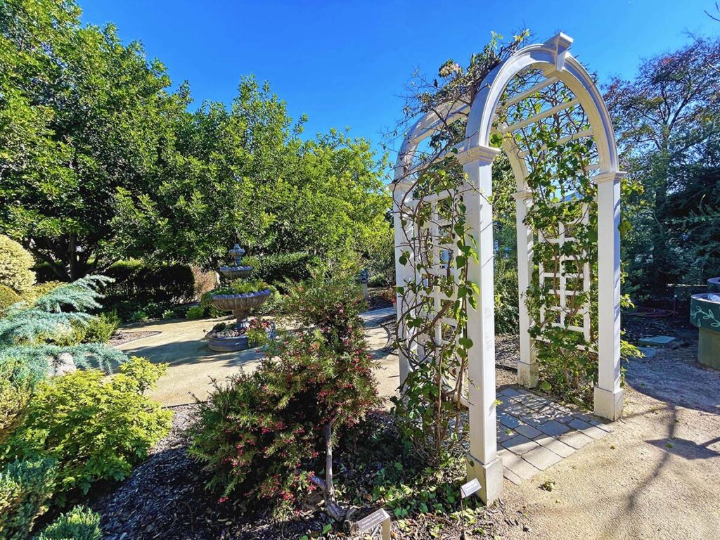 Water Conservation Garden | Hidden San Diego