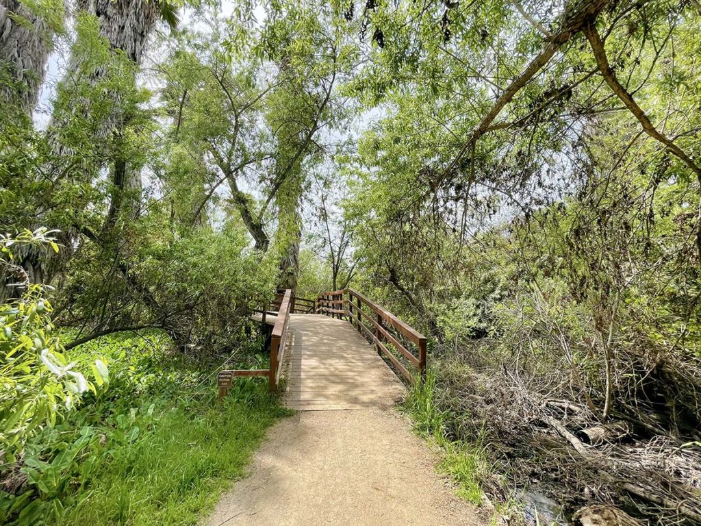 Guajome Lake & Campground | Hidden San Diego