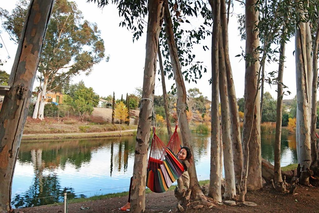 Taylor Pond | Hidden San Diego