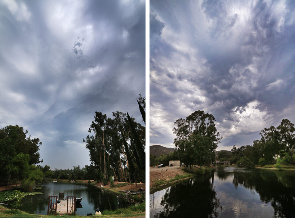 Taylor Pond | Hidden San Diego
