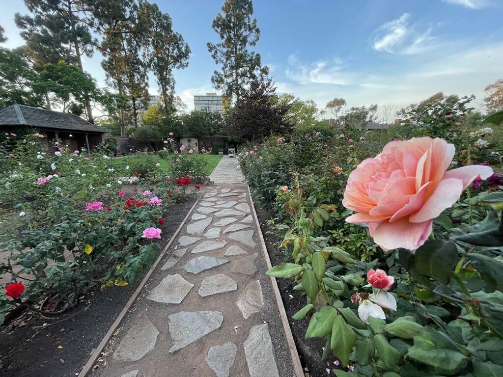 Marston House & Garden | Hidden San Diego