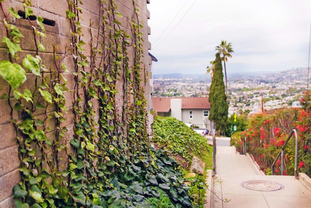 La Mesa Secret Stairs | Hidden San Diego