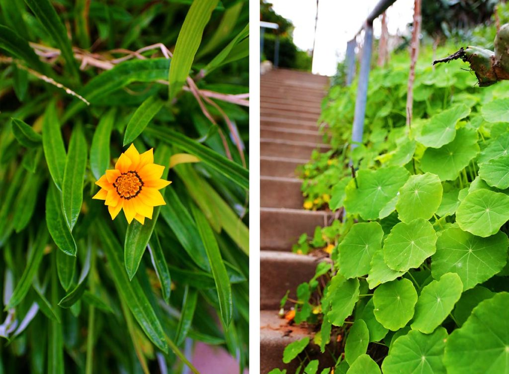 La Mesa Secret Stairs | Hidden San Diego