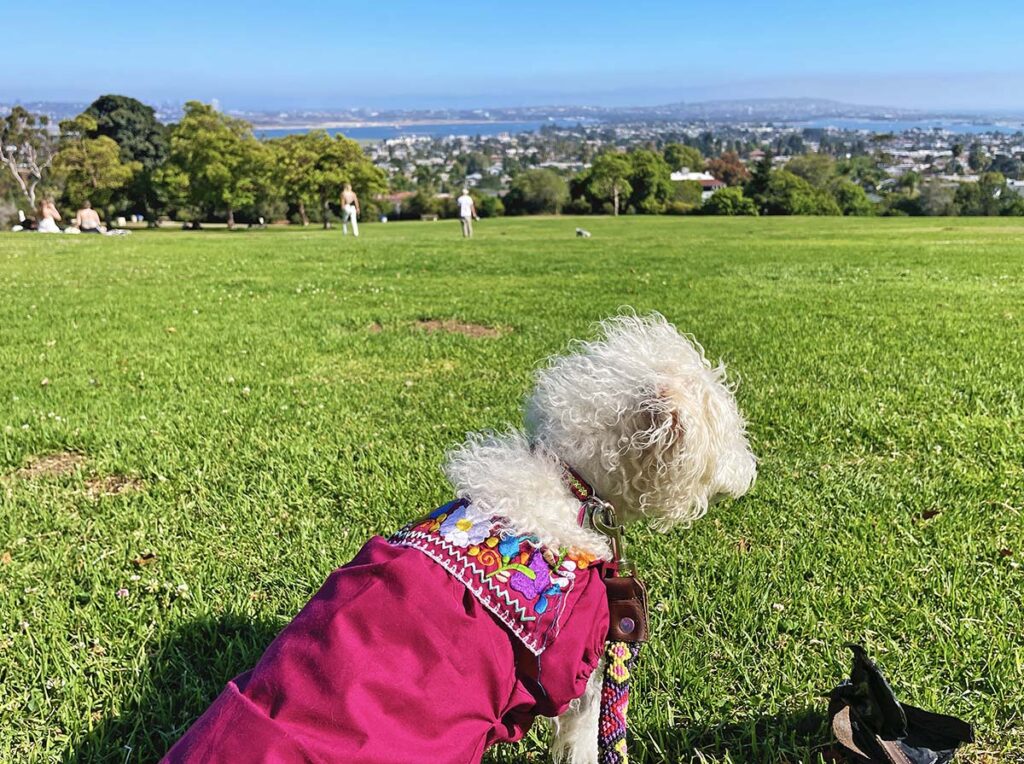 Kate Sessions Park | Hidden San Diego