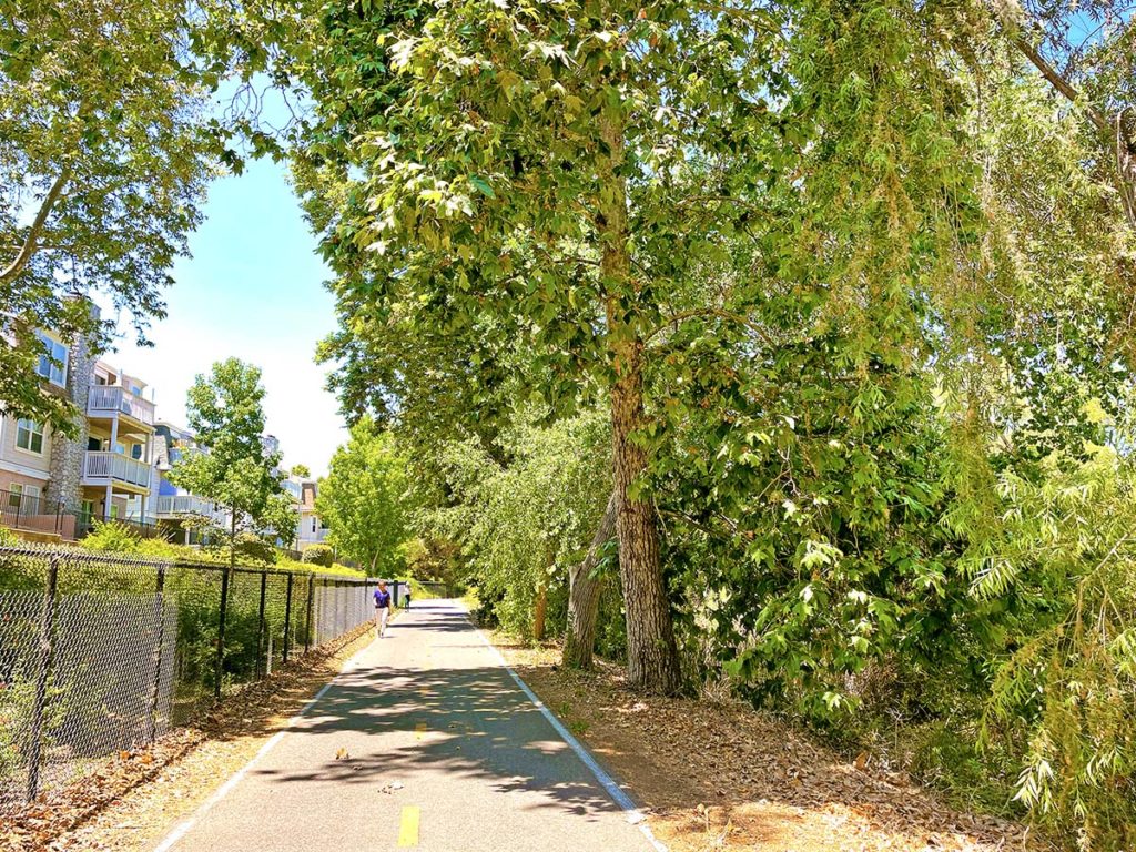 Explore 11 Miles Of Fun Through The San Luis Rey River Trail