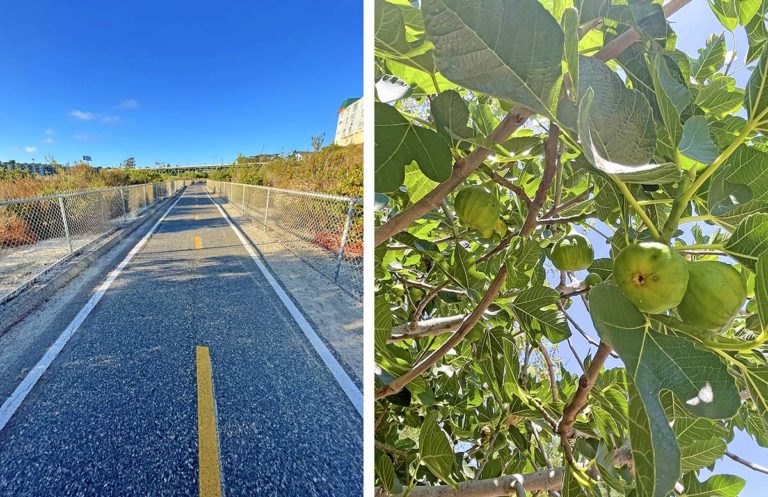 Explore 11 Miles Of Fun Through The San Luis Rey River Trail