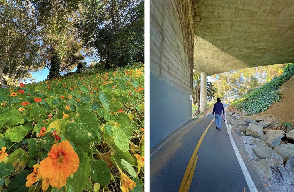 Explore 11 Miles Of Fun Through The San Luis Rey River Trail