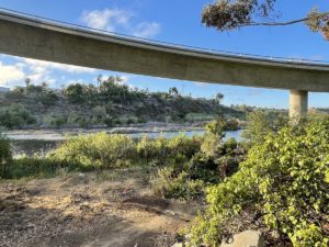 Explore 11 Miles Of Fun Through The San Luis Rey River Trail