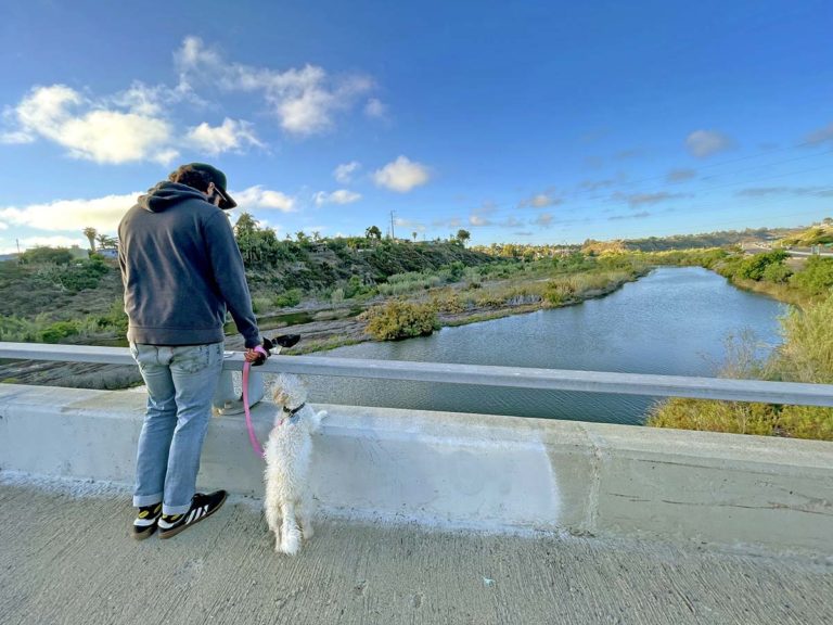 Explore 11 Miles Of Fun Through The San Luis Rey River Trail