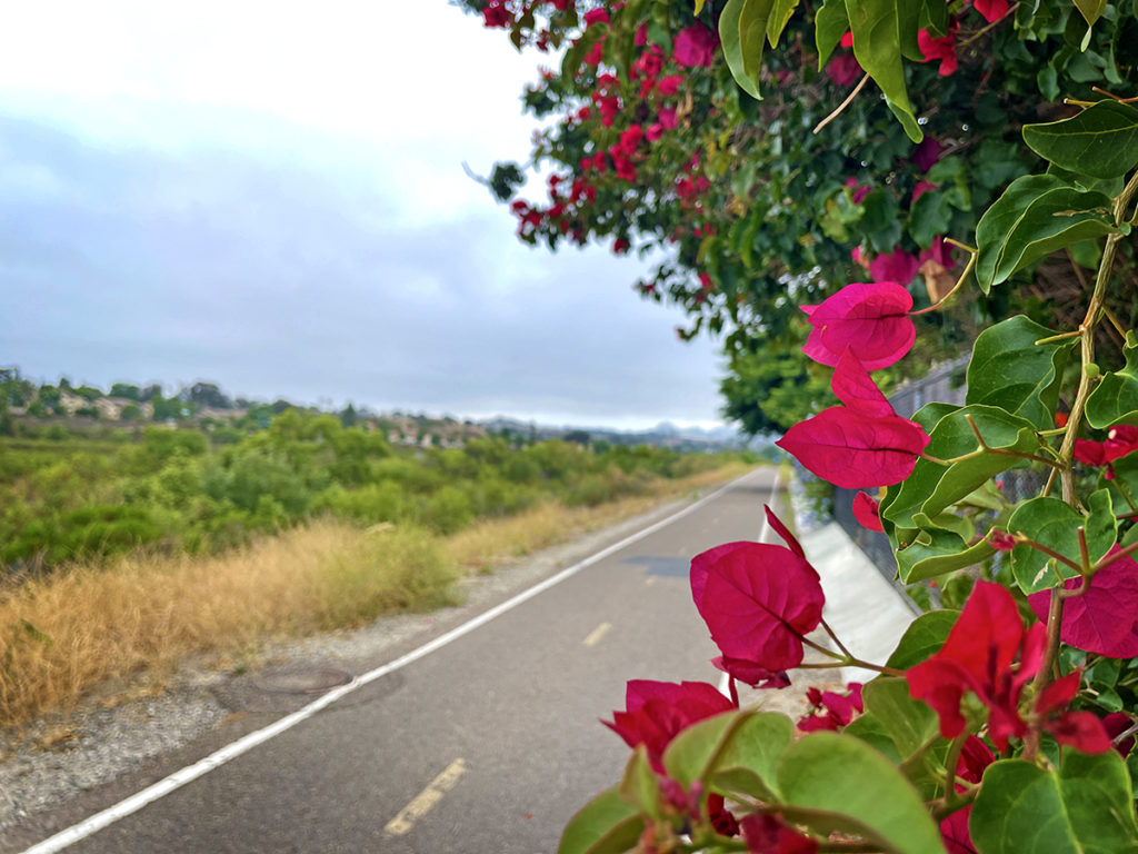 Explore 11 Miles Of Fun Through The San Luis Rey River Trail