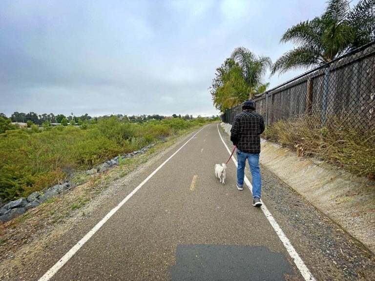 Explore 11 Miles Of Fun Through The San Luis Rey River Trail