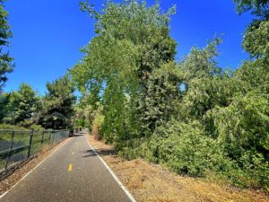 Explore 11 Miles Of Fun Through The San Luis Rey River Trail