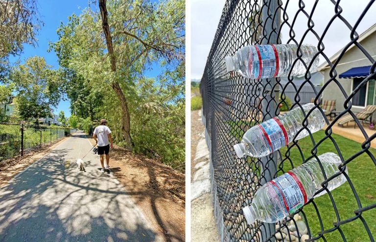 Explore 11 Miles Of Fun Through The San Luis Rey River Trail