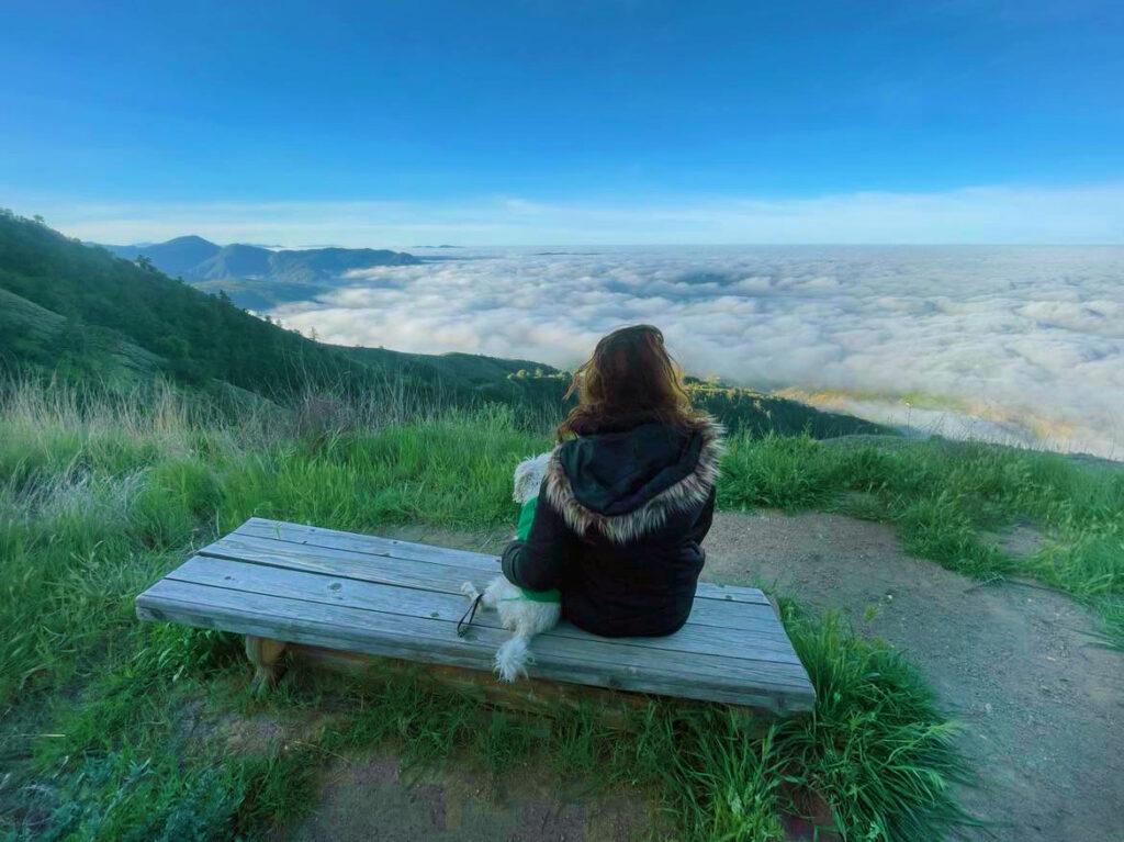 Harrison Serenity Ranch | Hidden San Diego