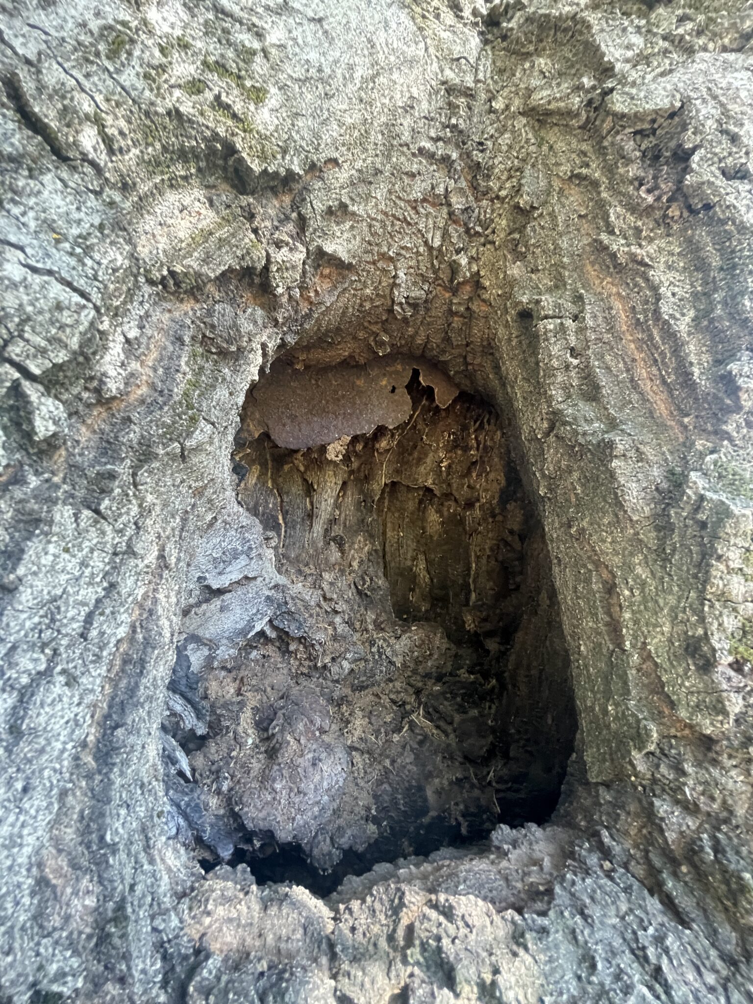 Harrison Serenity Ranch | Hidden San Diego