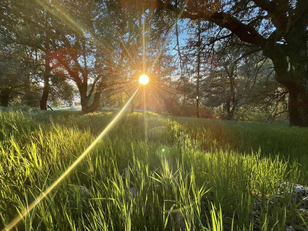 Harrison Serenity Ranch | Hidden San Diego