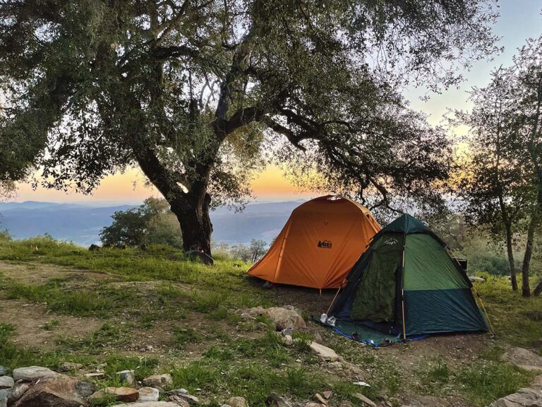 12 HIDDEN GEMS IN PALOMAR MOUNTAIN | Hidden San Diego