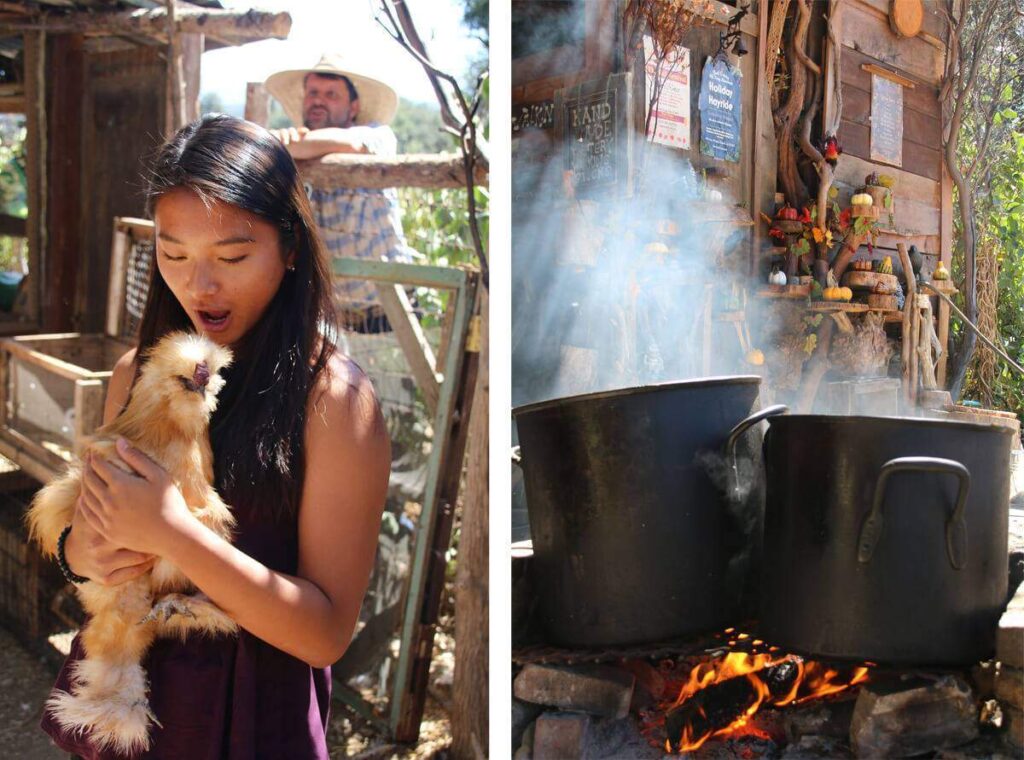 12 Unique Animal Encounters In San Diego | Hidden San Diego