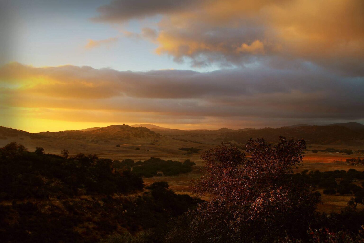 33 Unique Parks In San Diego | Hidden San Diego