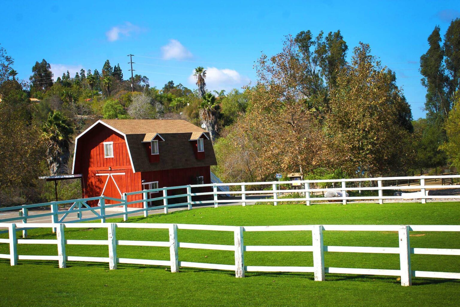 33 Unique Parks In San Diego | Hidden San Diego