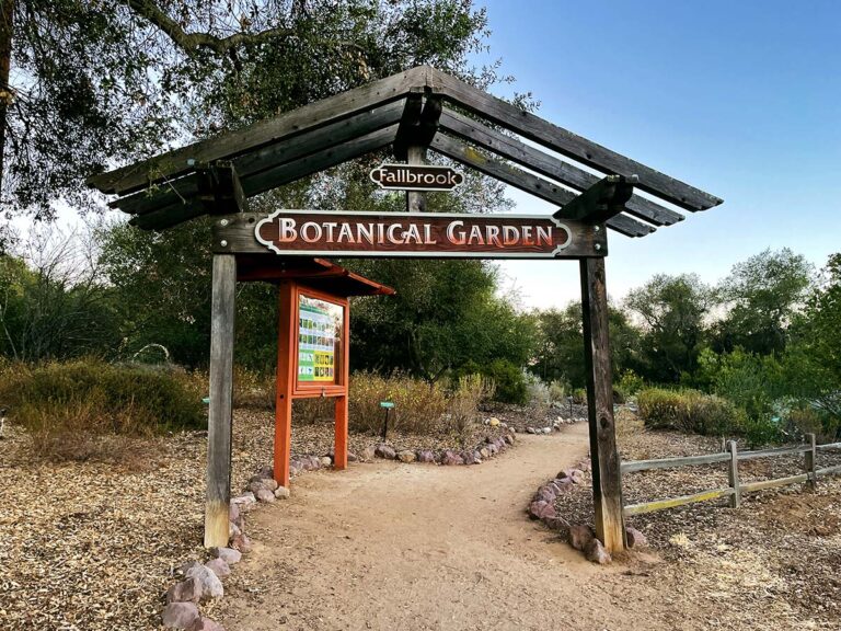 33 Unique Parks In San Diego | Hidden San Diego