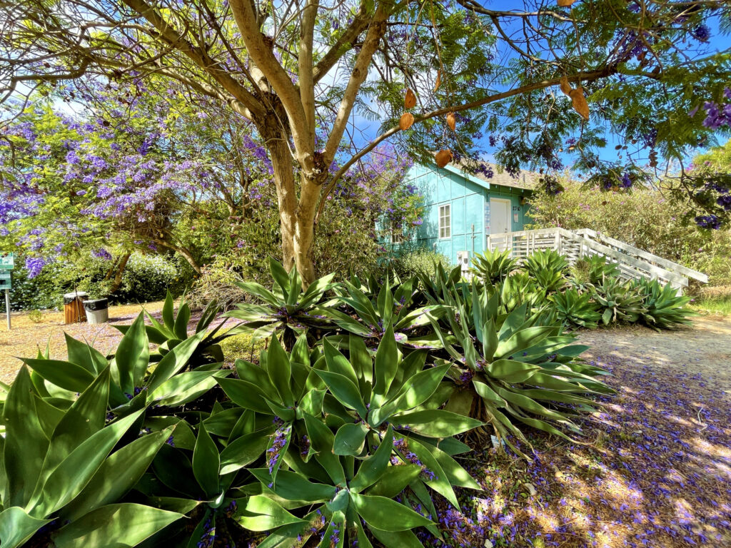 33 Unique Parks In San Diego | Hidden San Diego