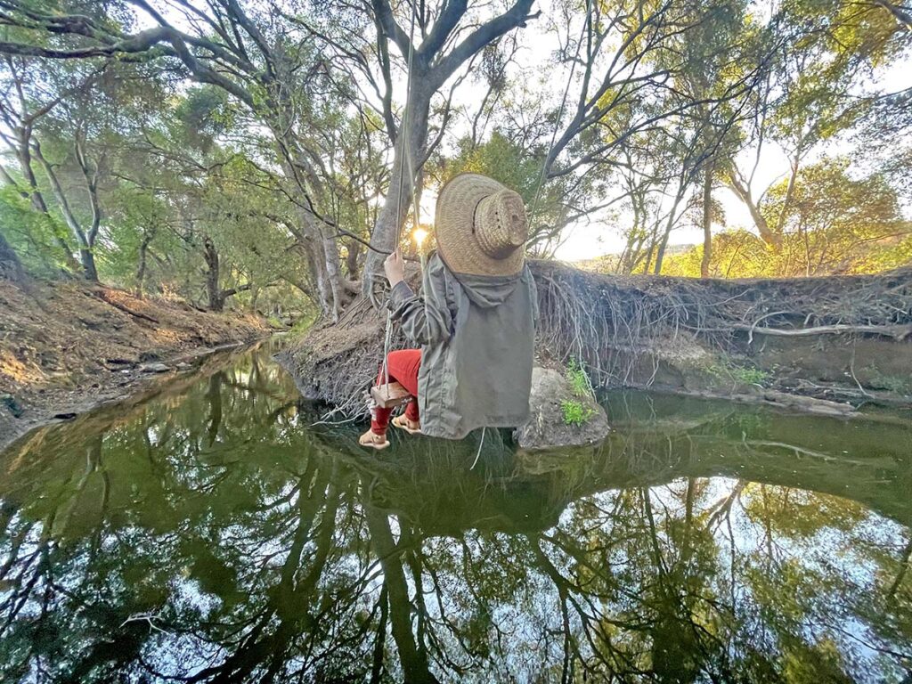 33 Unique Parks In San Diego | Hidden San Diego