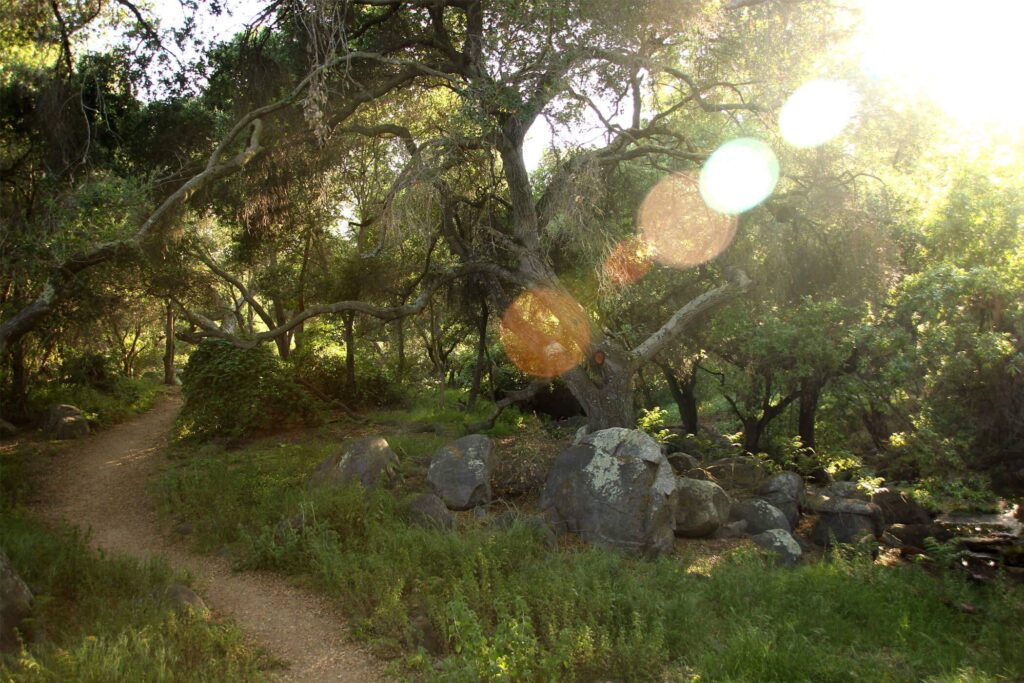 33 Unique Parks In San Diego | Hidden San Diego