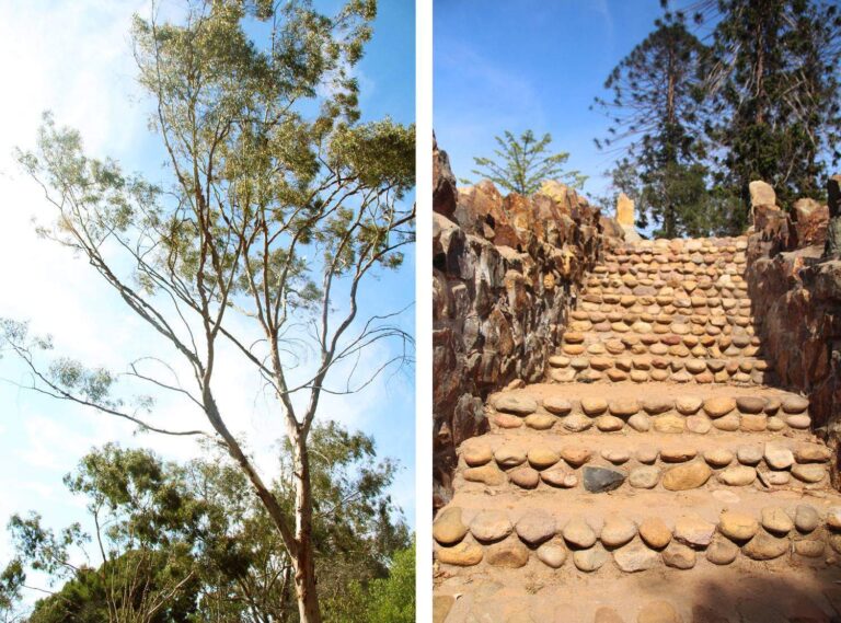 33 Unique Parks In San Diego | Hidden San Diego