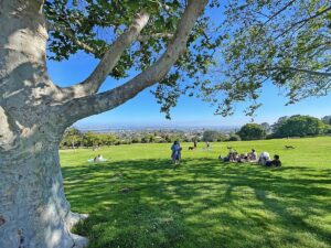 33 Unique Parks In San Diego | Hidden San Diego