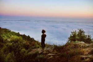 33 Unique Parks In San Diego | Hidden San Diego