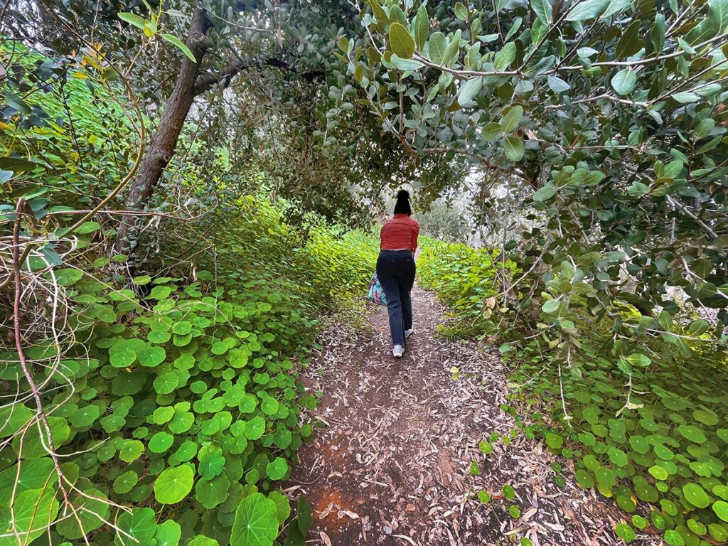 40 Kid-Friendly Hikes In San Diego | Hidden San Diego